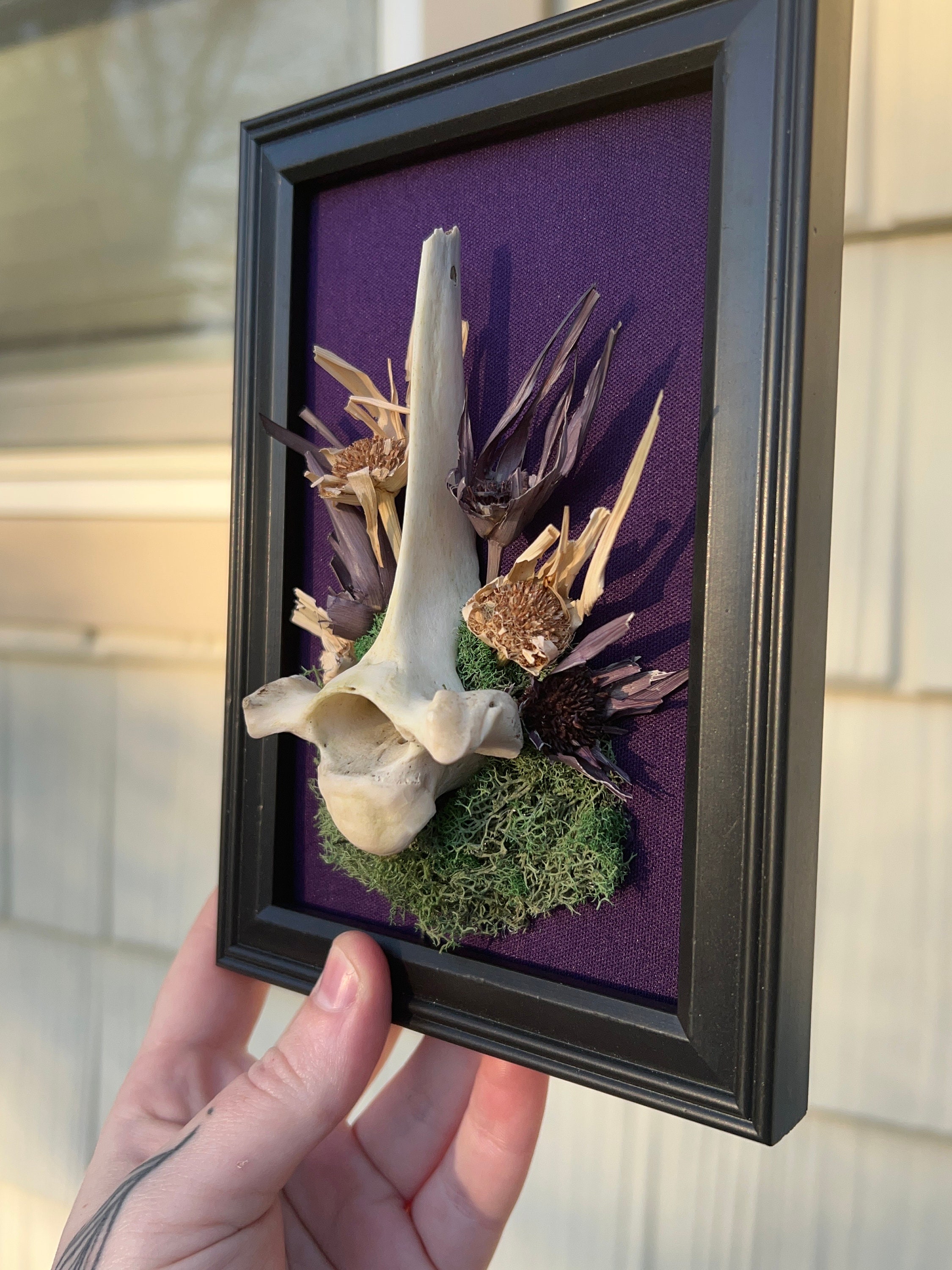 OPULENT Handmade Framed Bone Art Deer Bone Vertebrae Animal Bone ...