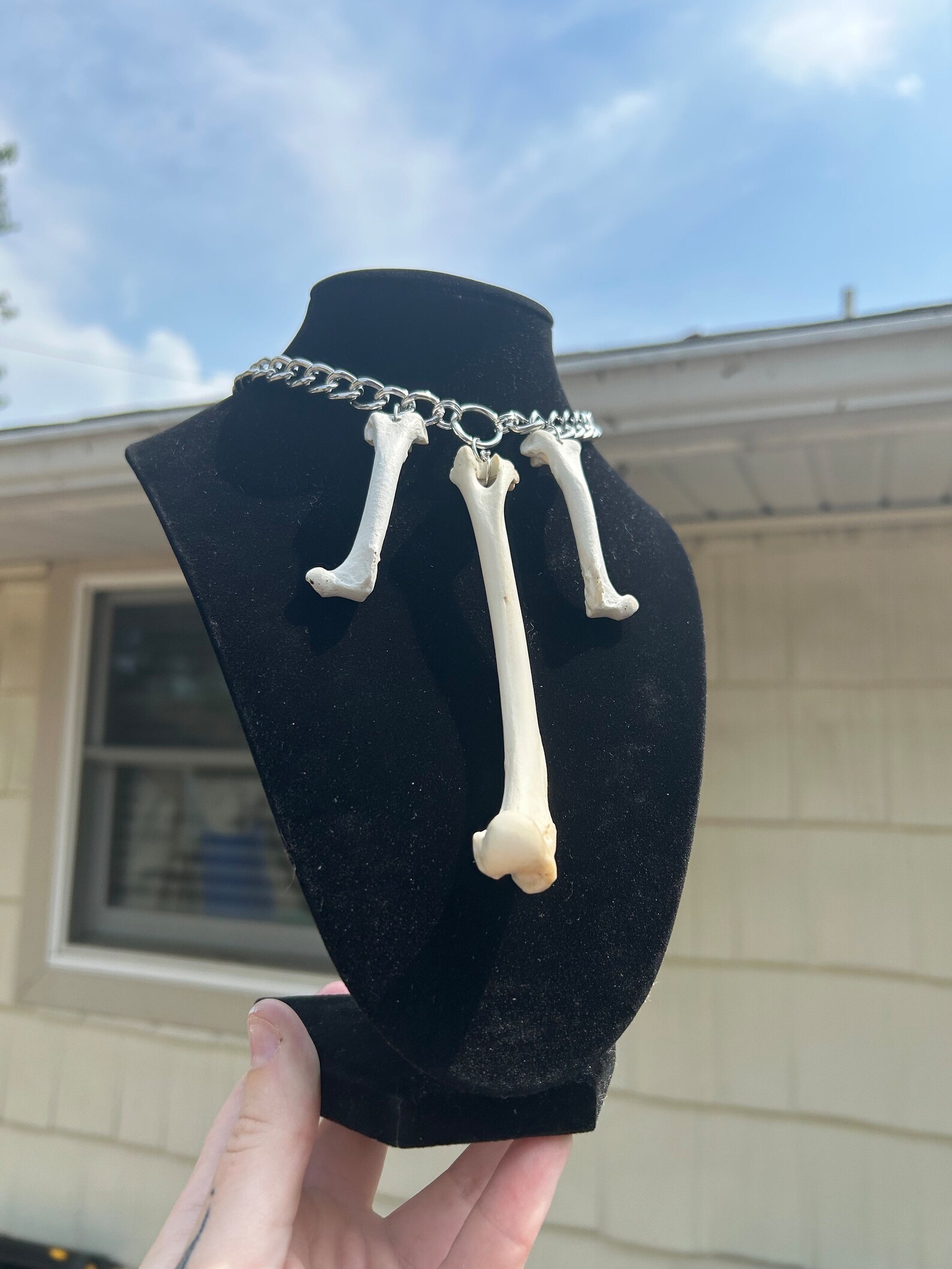 LEGS FOR DAYS Handmade Deer Leg Bone Fox Bone Leg Bone Necklace Choker Animal Bones Taxidermy ...