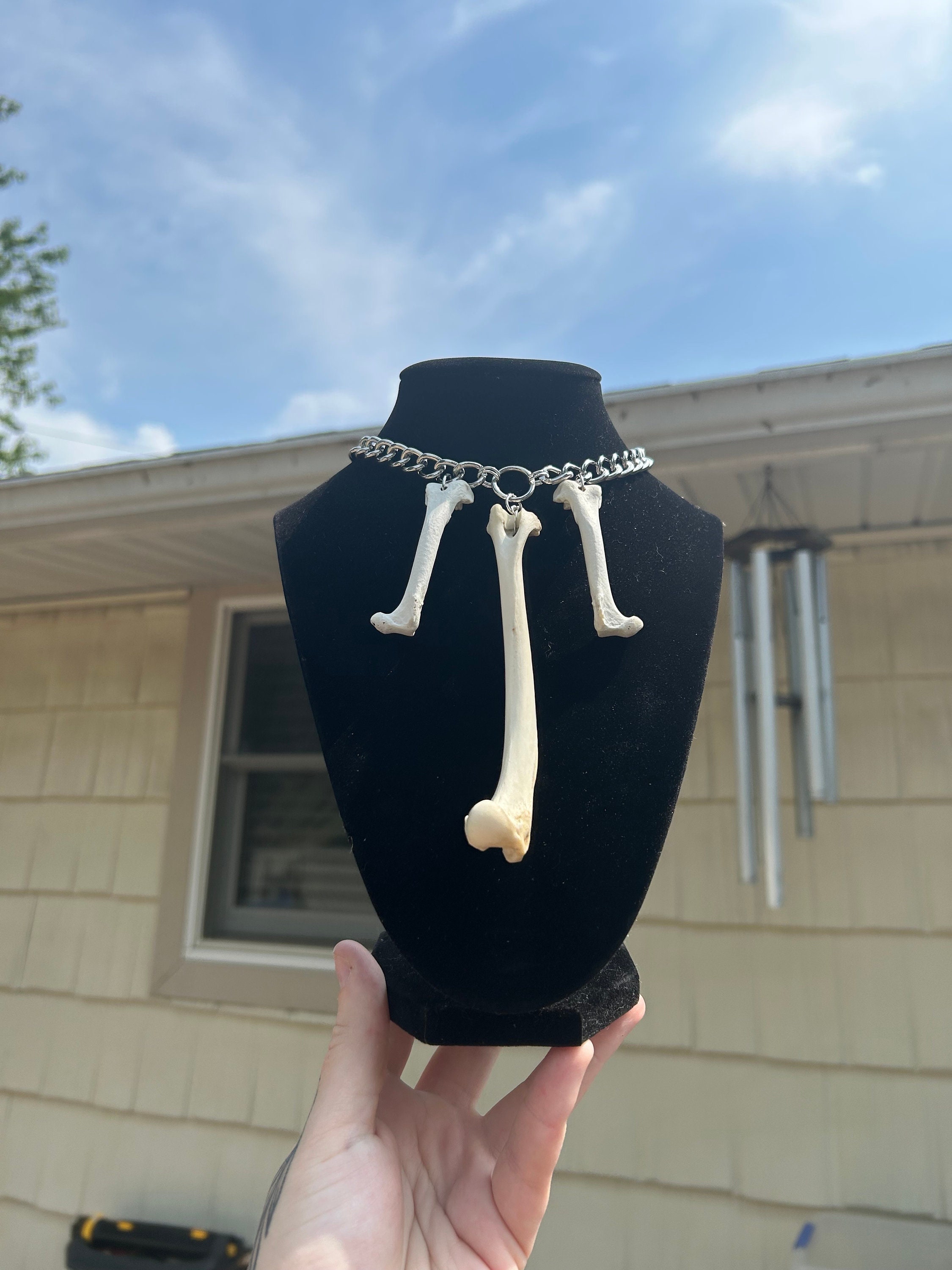 LEGS FOR DAYS Handmade Deer Leg Bone Fox Bone Leg Bone Necklace Choker ...