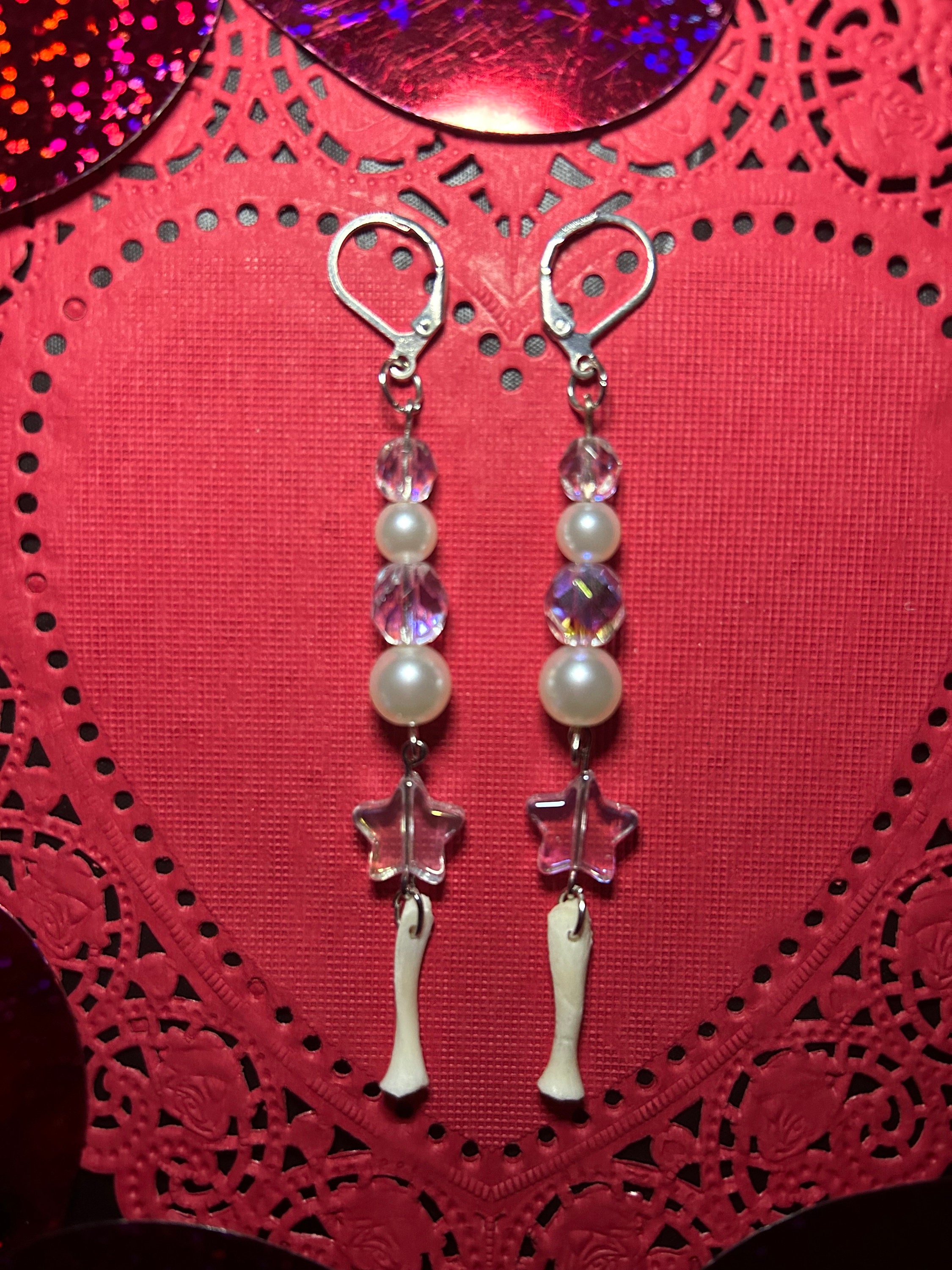 LITTLE BITZ Handmade Raccoon Bone Fragment Animal Bone Taxidermy ...