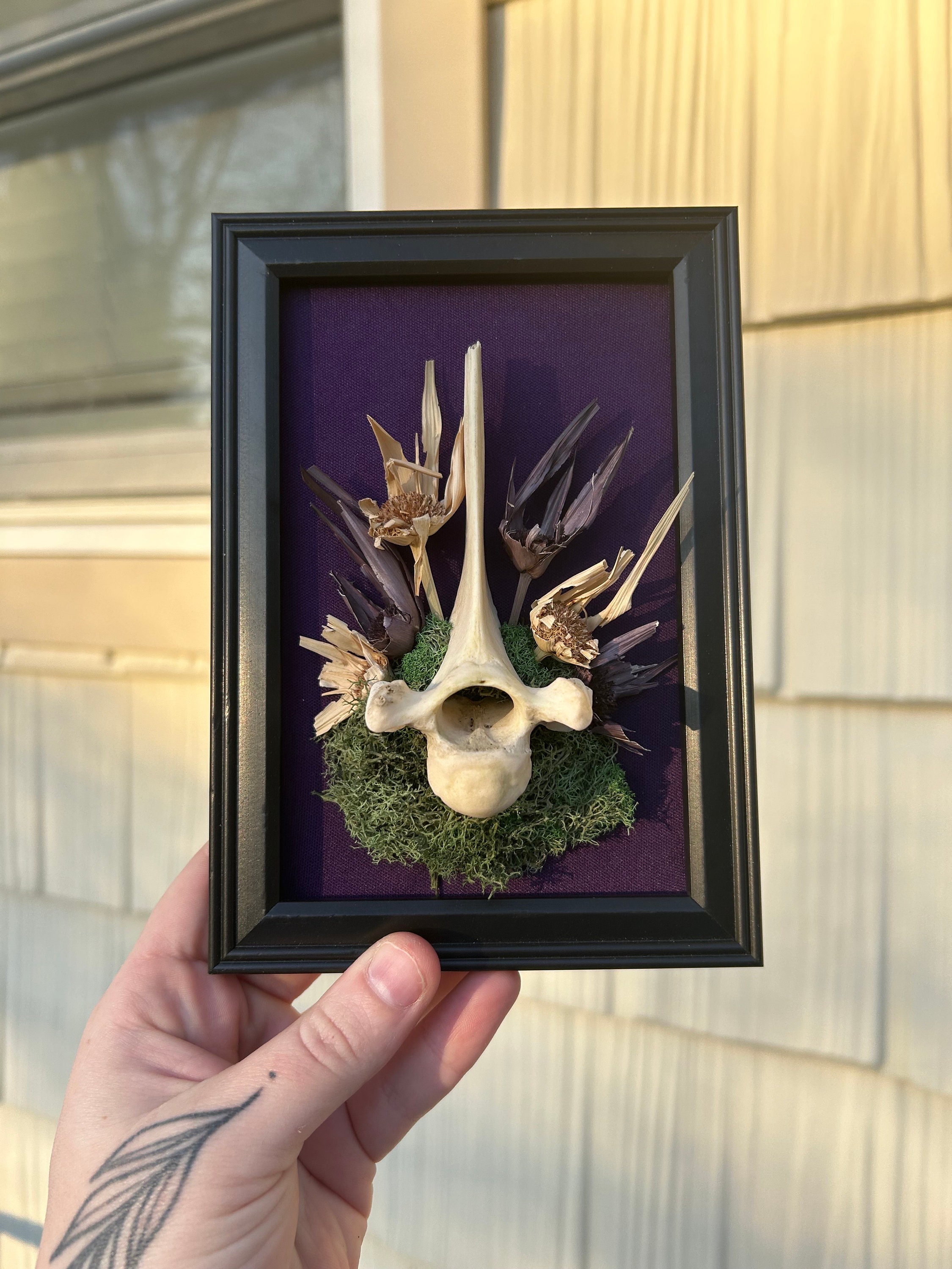 OPULENT Handmade Framed Bone Art Deer Bone Vertebrae Animal Bone ...