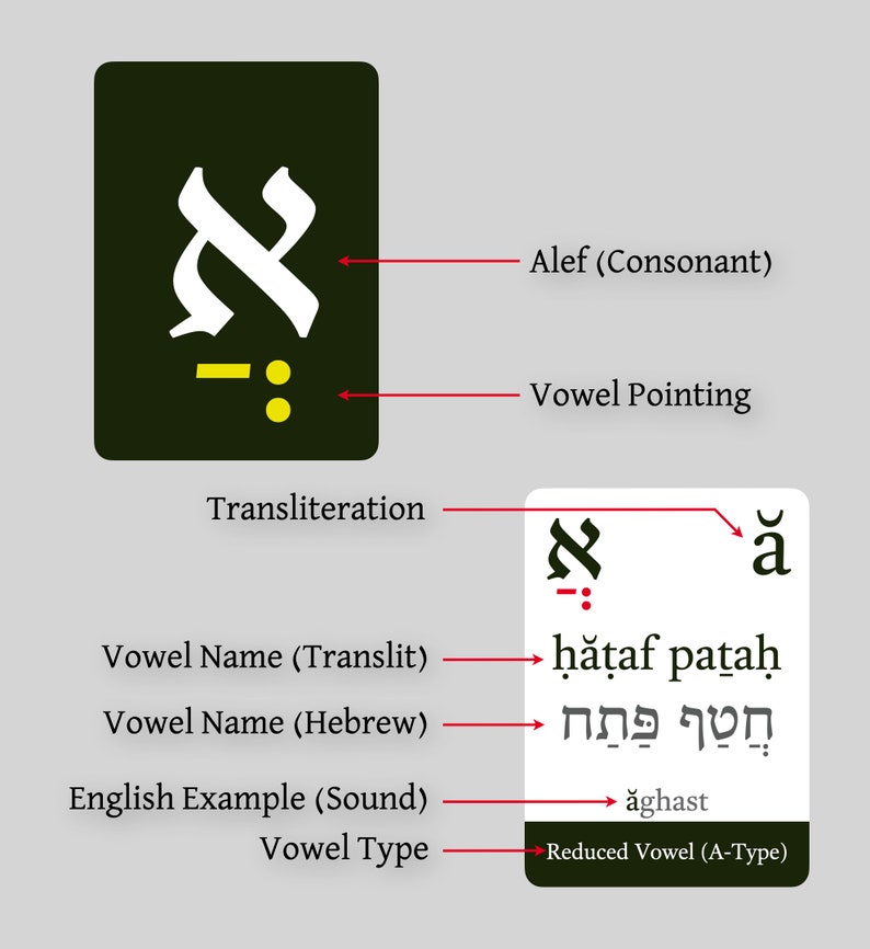 Biblical Hebrew Flashcards - Alphabet & Vowels - Etsy