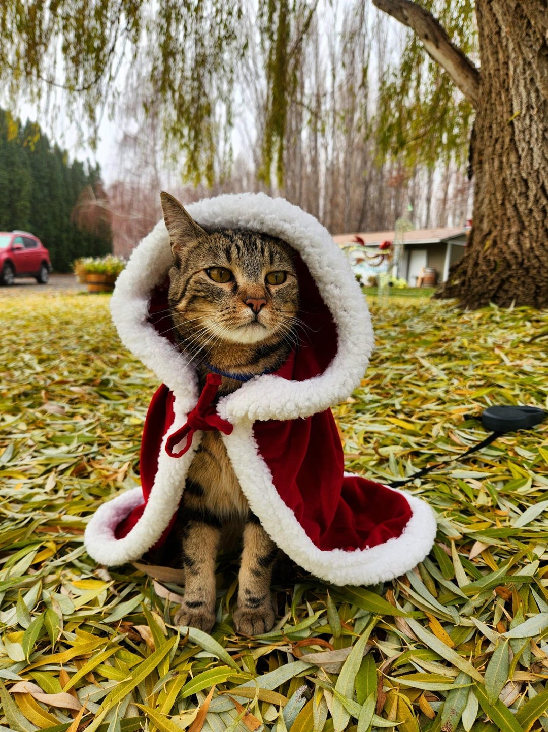 Red Velvet Santa Cape - Etsy