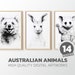 20 Australian Animals Poster Set Australian Animal Portraits Australian ...