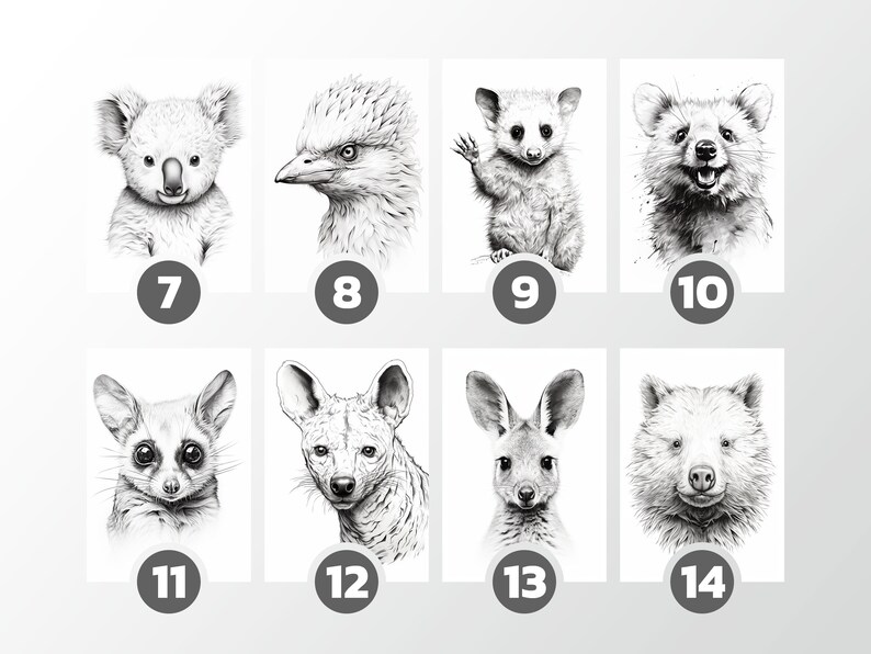 20 Australian Animals Poster Set Australian Animal Portraits Australian ...