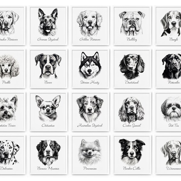 Dog Breeds Poster - Etsy