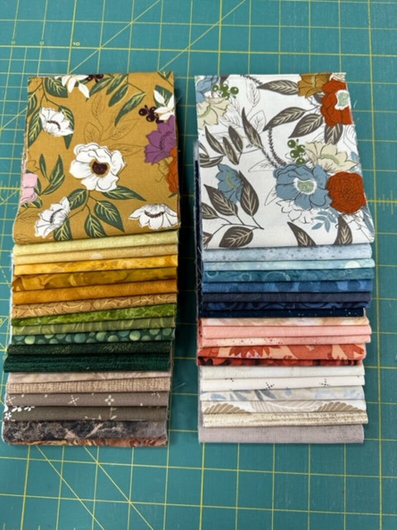 Moda Slow Stroll Quilt Kit - Etsy