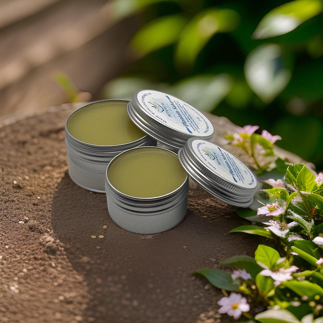 Organic Plantain Salve: Handmade Herbal Skin Balm - Etsy