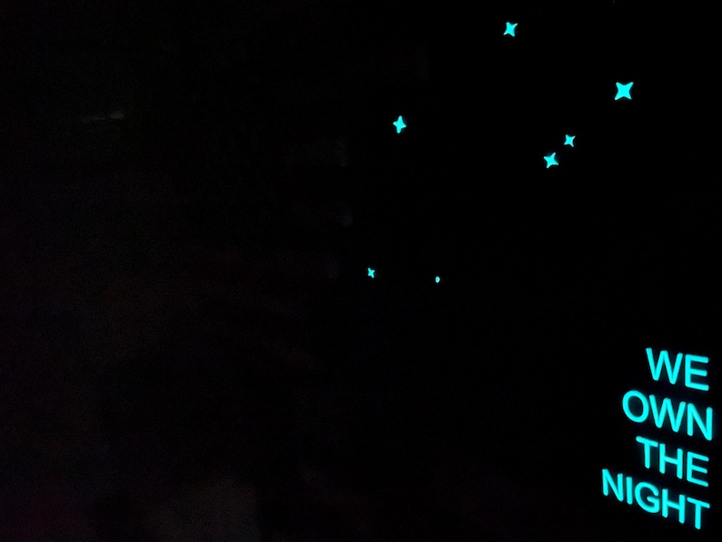 American Wooden Flag We Own the Night Glow in the Dark - Etsy