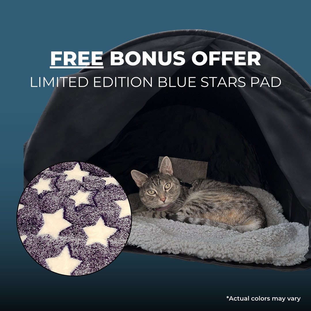Limited Edition: Premium Portable Cat Bed, Cozy Calming Cave, Modern ...