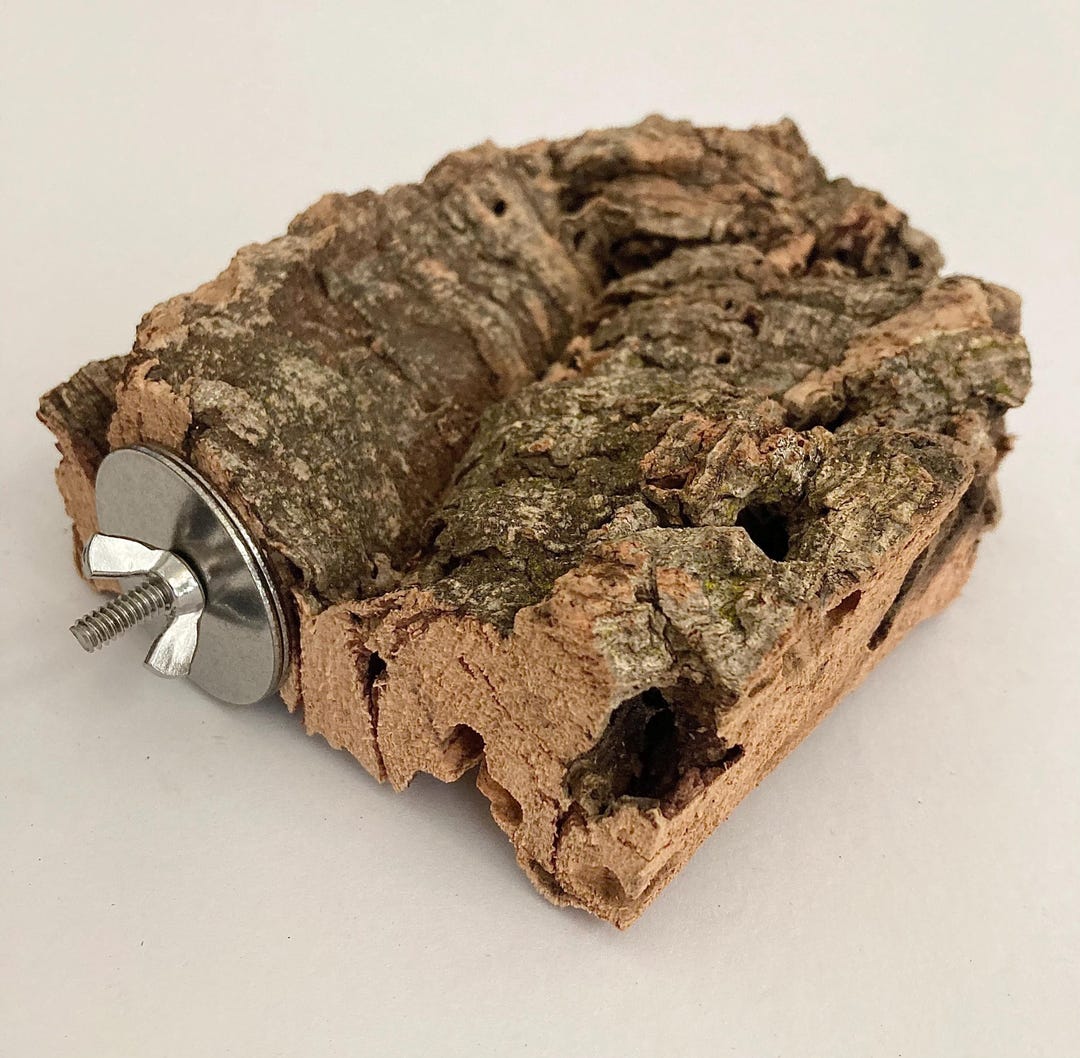 Large Cork Bark Perch for Small Birds Budgies, Conures, Cockatiels ...