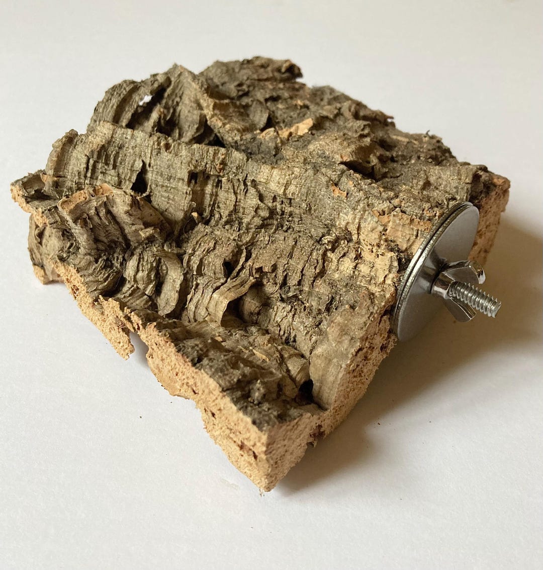 Large Cork Bark Perch for Small Birds Budgies, Conures, Cockatiels ...