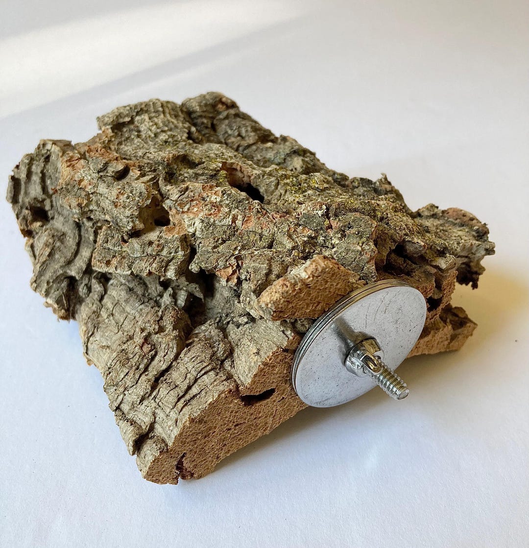Large Cork Bark Perch for Small Birds Budgies, Conures, Cockatiels ...