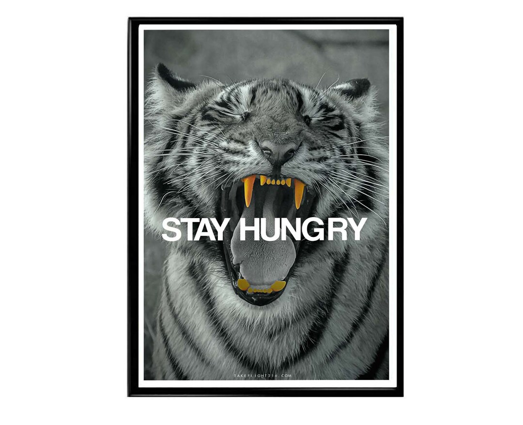 Stay Hungry Poster White Tiger Motivational Poster Animal Lover Print ...