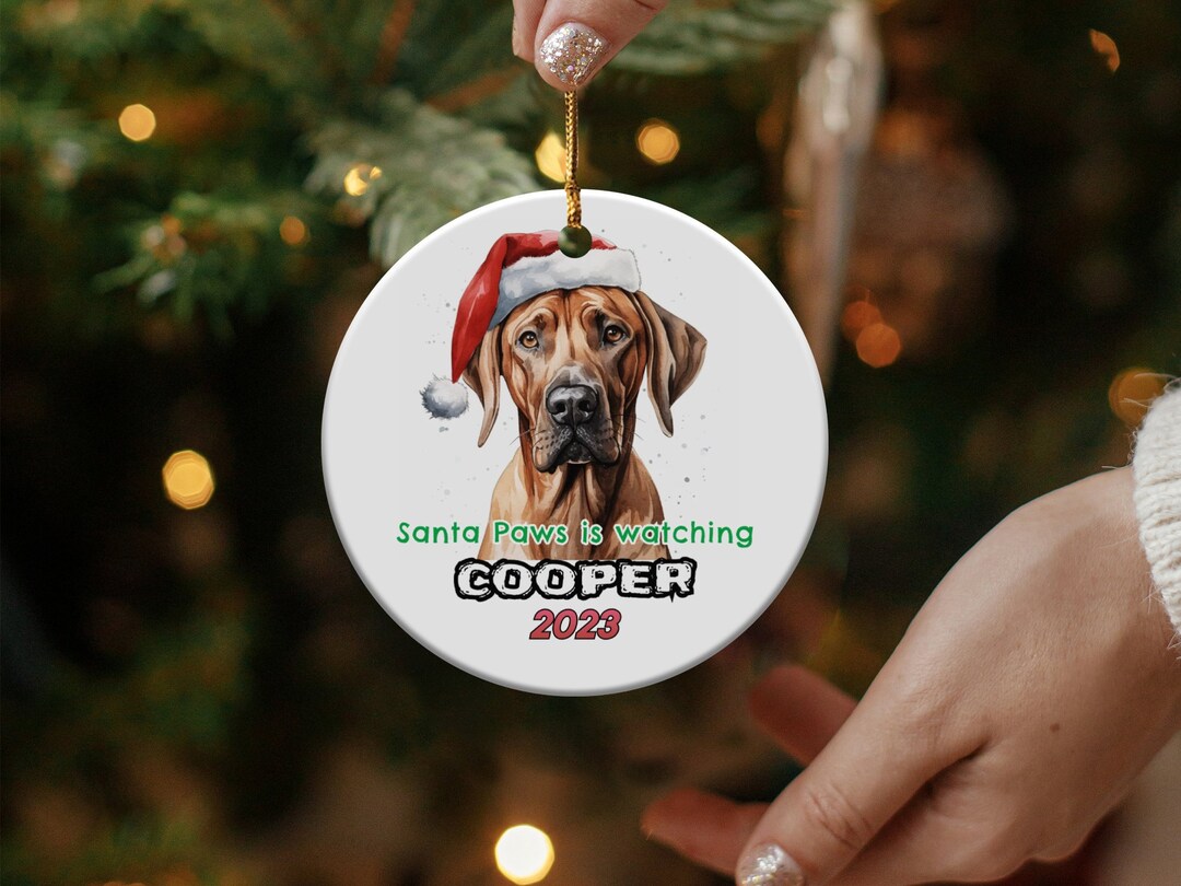 Rhodesian Ridgeback Personalized Puppy Ornament, Custom Dog Ornament ...