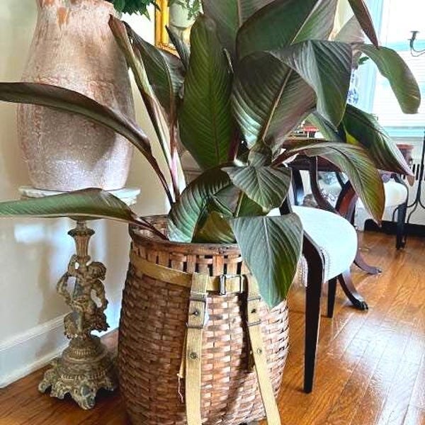 Adirondack Basket - Etsy