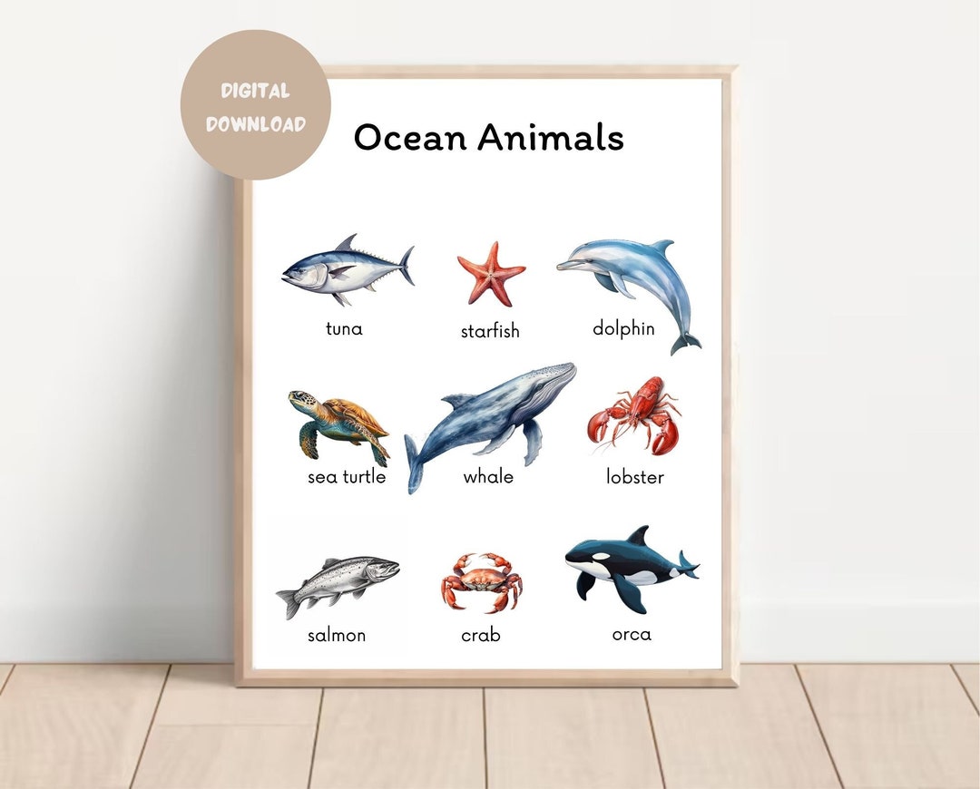 Printable Educational Poster Sea Ocean Animals Poster - Etsy