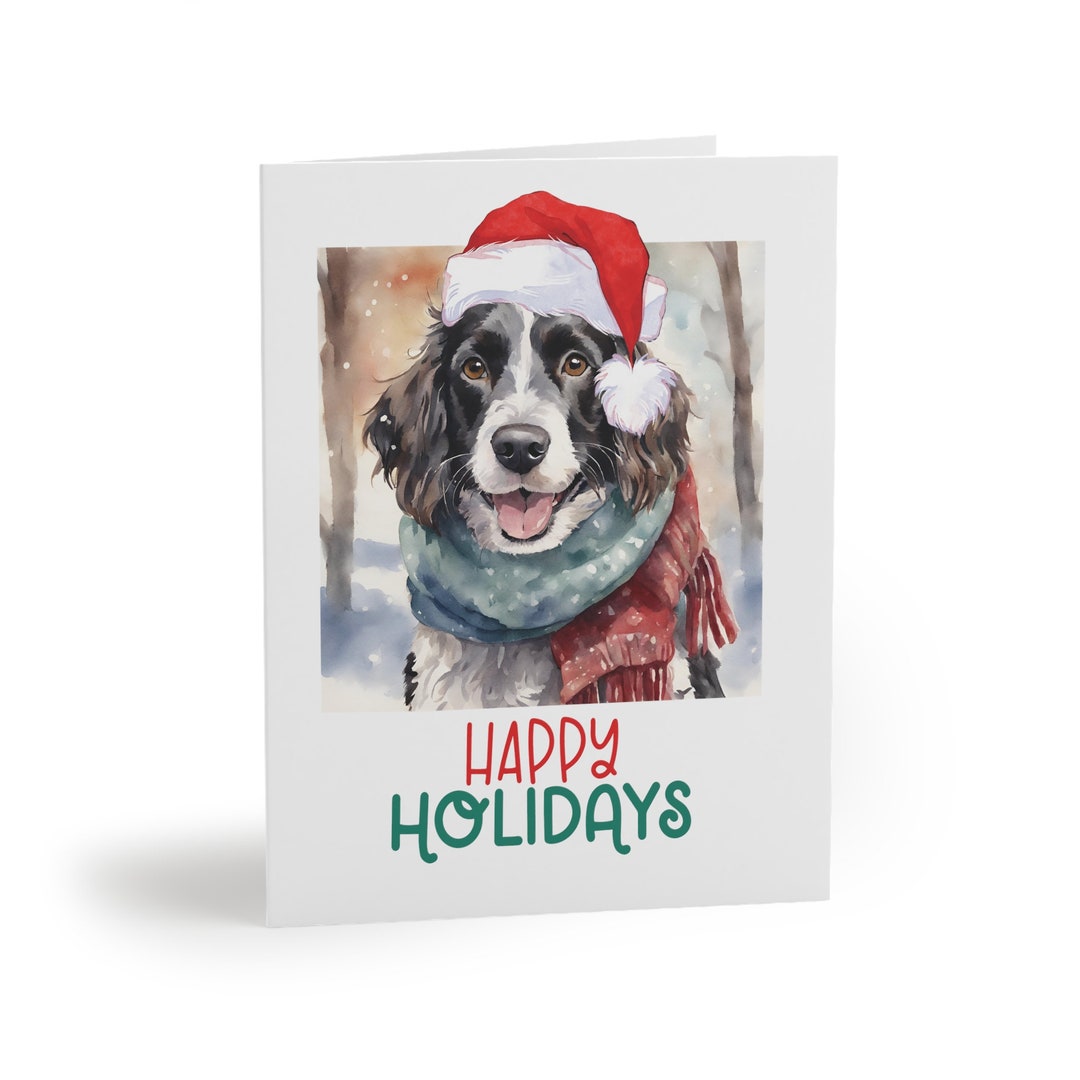 Springer Spaniel Holiday Greeting Cards 8, 16, and 24 Pcs - Etsy