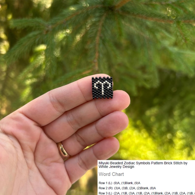 Zodiac Sign Bead Pattern, Miyuki Delica, Peyote Stitch (digital ...