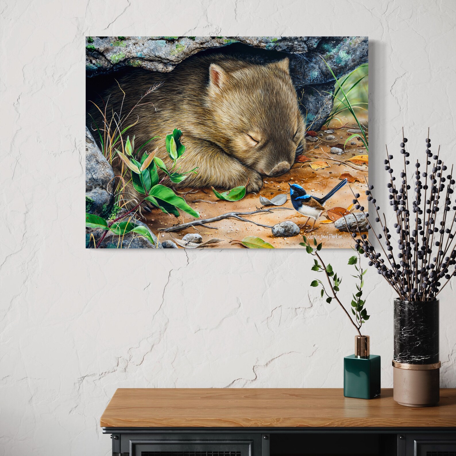 Bare-nosed Wombat & Male Superb Fairy-wren - Deep Sleeper M| Australian ...