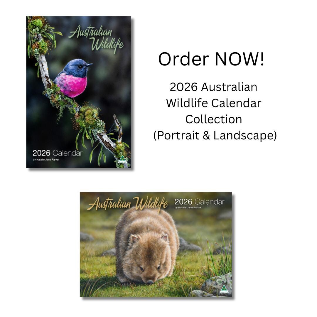2026 Australian Wildlife Calendar Collection – Portrait & Landscape Set ...