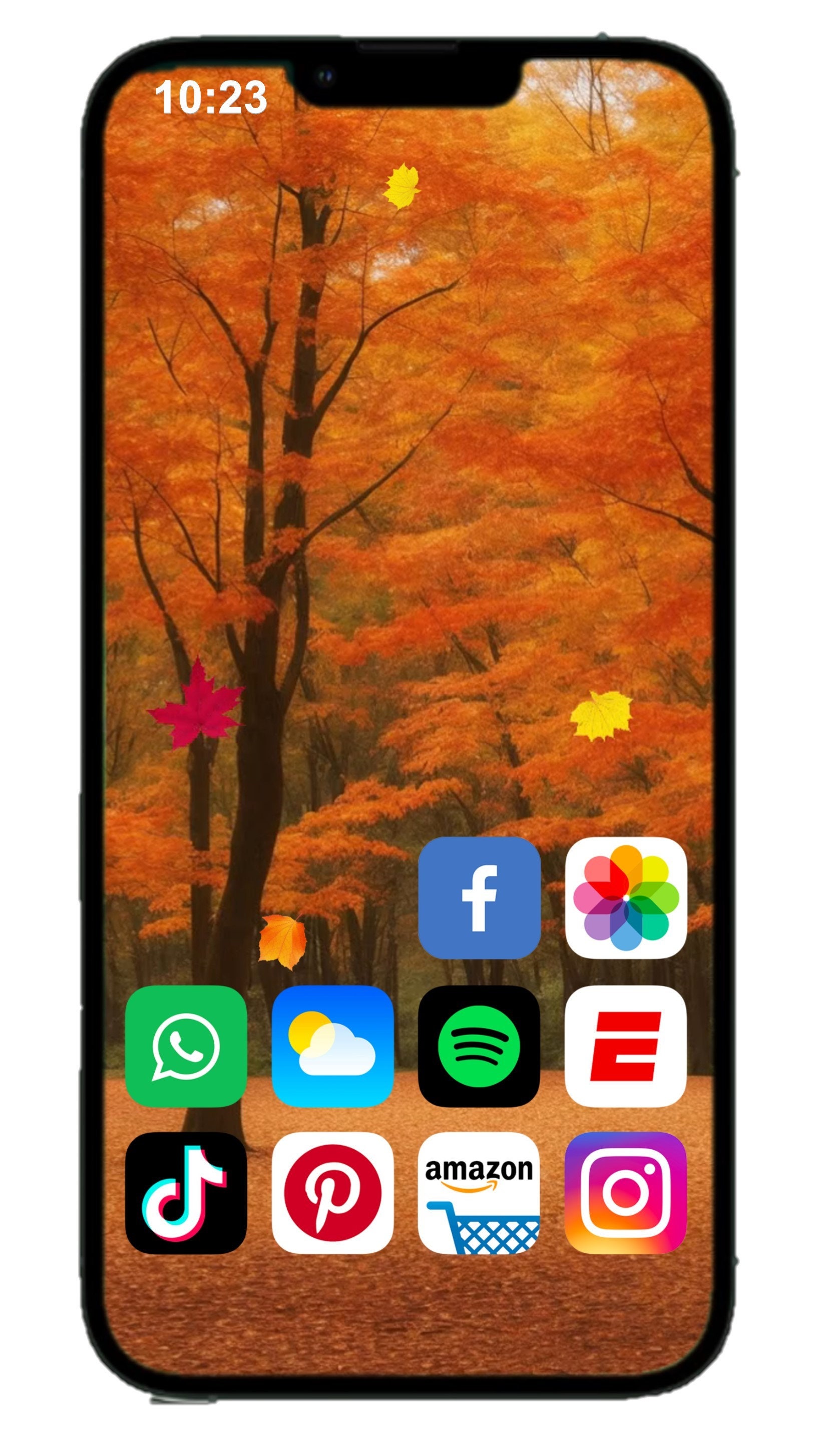 Animated Virtual Background: Autumn Forest - Etsy