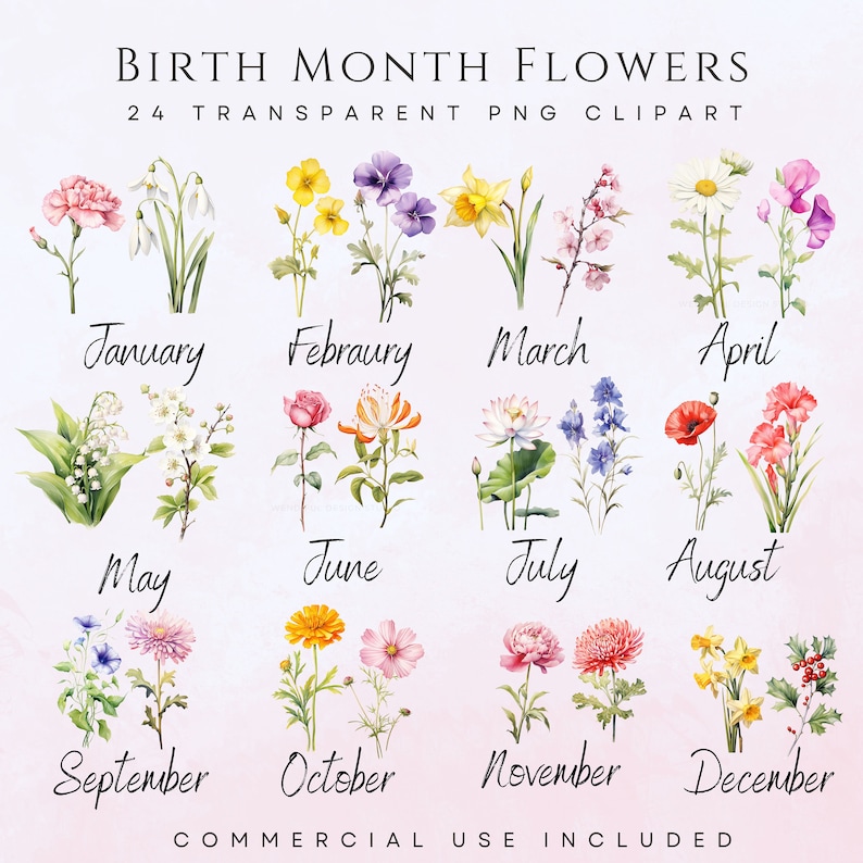 24 Birth Month Flowers Clipart, Transparent PNG, Watercolor, Rose ...