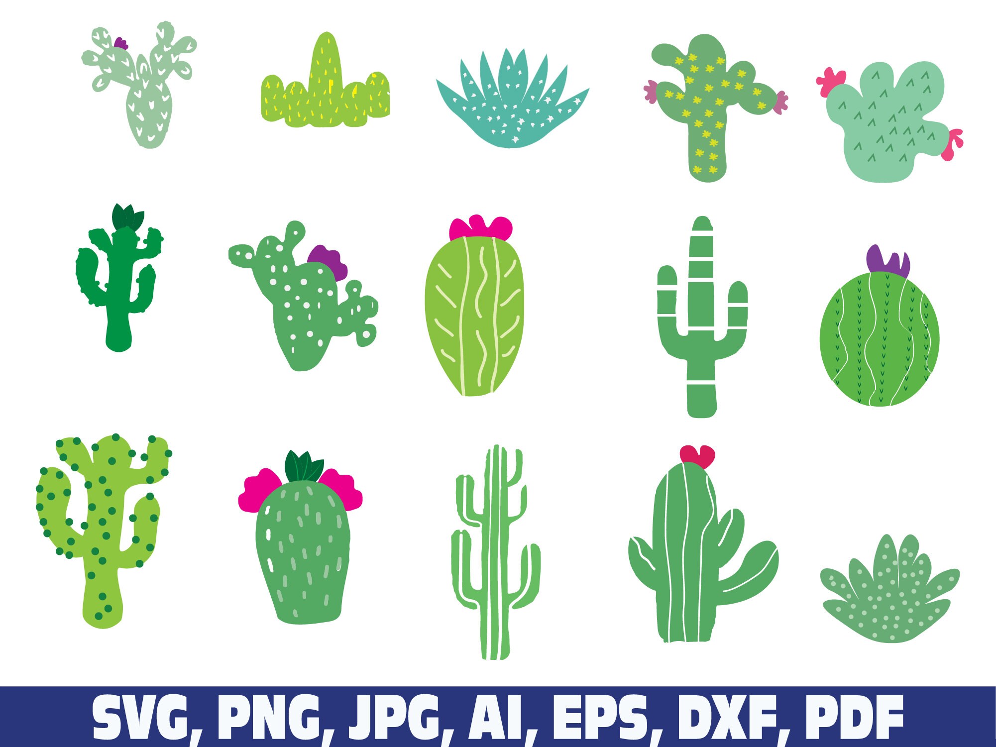 Cactus SVG, Cactus PNG, Cactus SVG Bundle, Succulent Svg Cutfiles ...