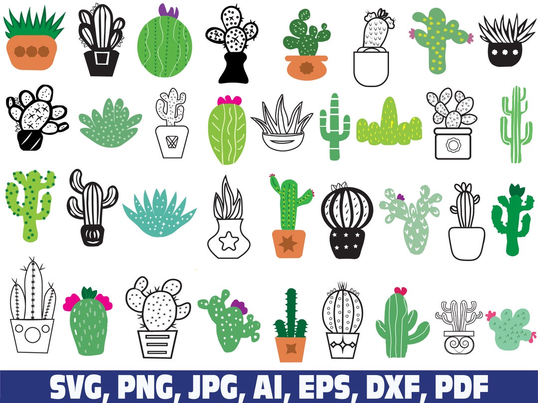 Cactus SVG, Cactus PNG, Cactus SVG Bundle, Succulent Svg Cutfiles ...