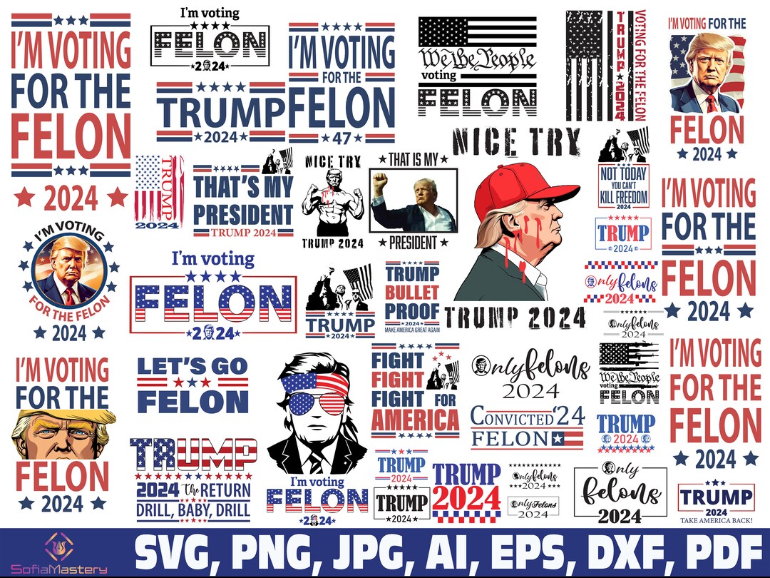 I'm Voting Felon in 2024 SVG PNG, Trump Shot 2024 Svg, We the People ...