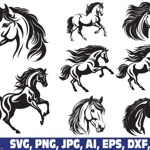 Tête de cheval svg png, cheval fille svg png, visage de cheval svg png ...