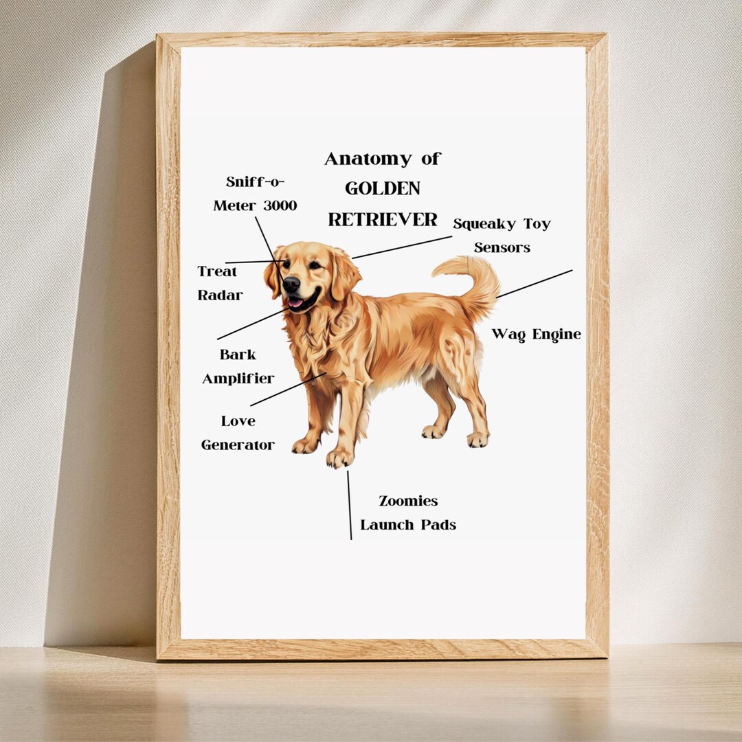 Funny Dog Anatomy Wall Art Science Humor English Shepherd Gift ...