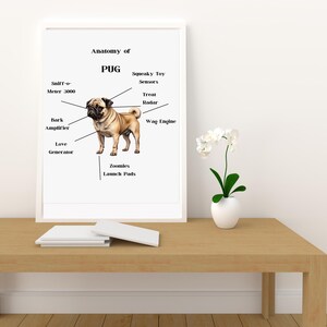 Funny Dog Anatomy Wall Art Science Humor English Shepherd Gift ...