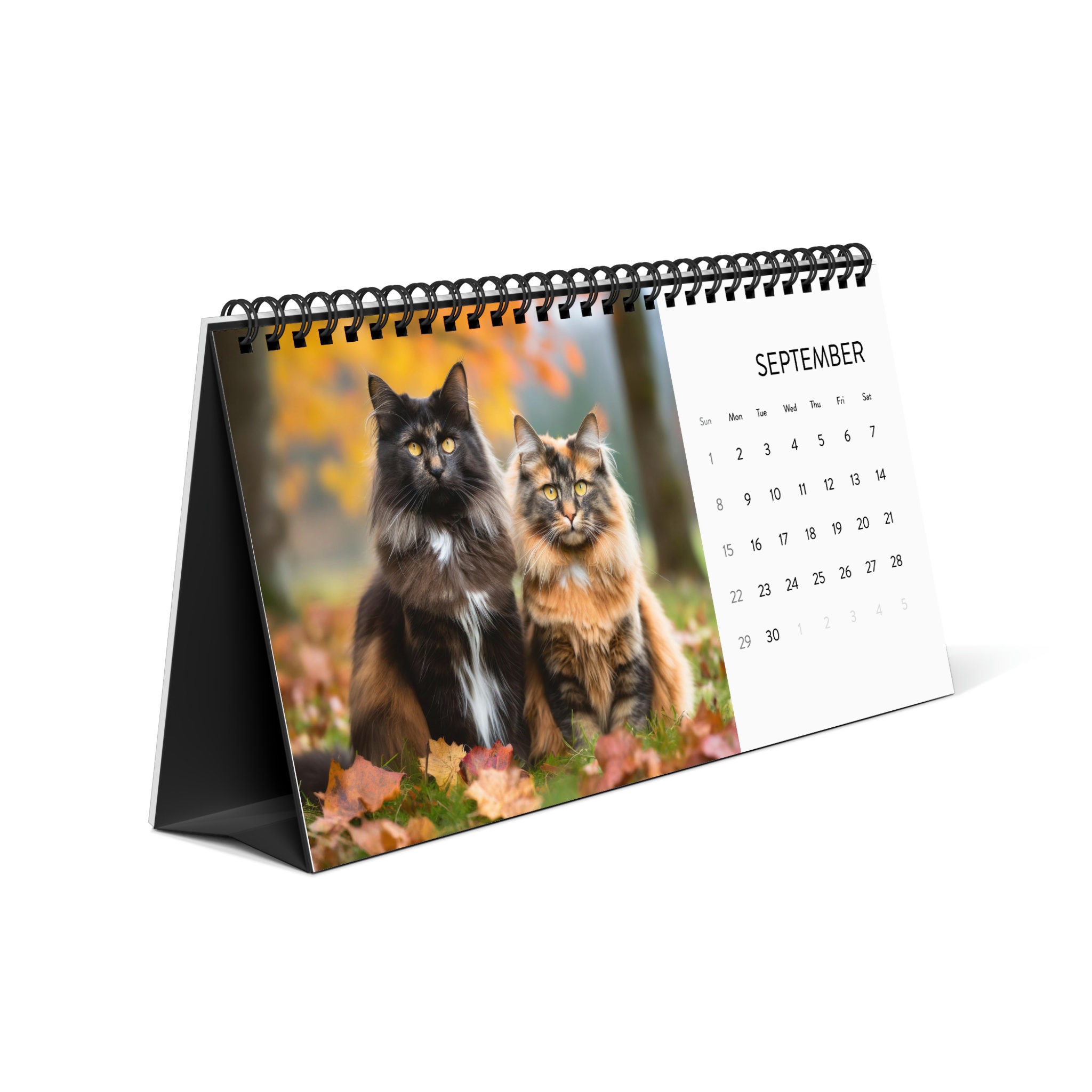 2024 Fluffy Cats Desktop Calendar, 2024 Cat Calendar, Cat Lover ...