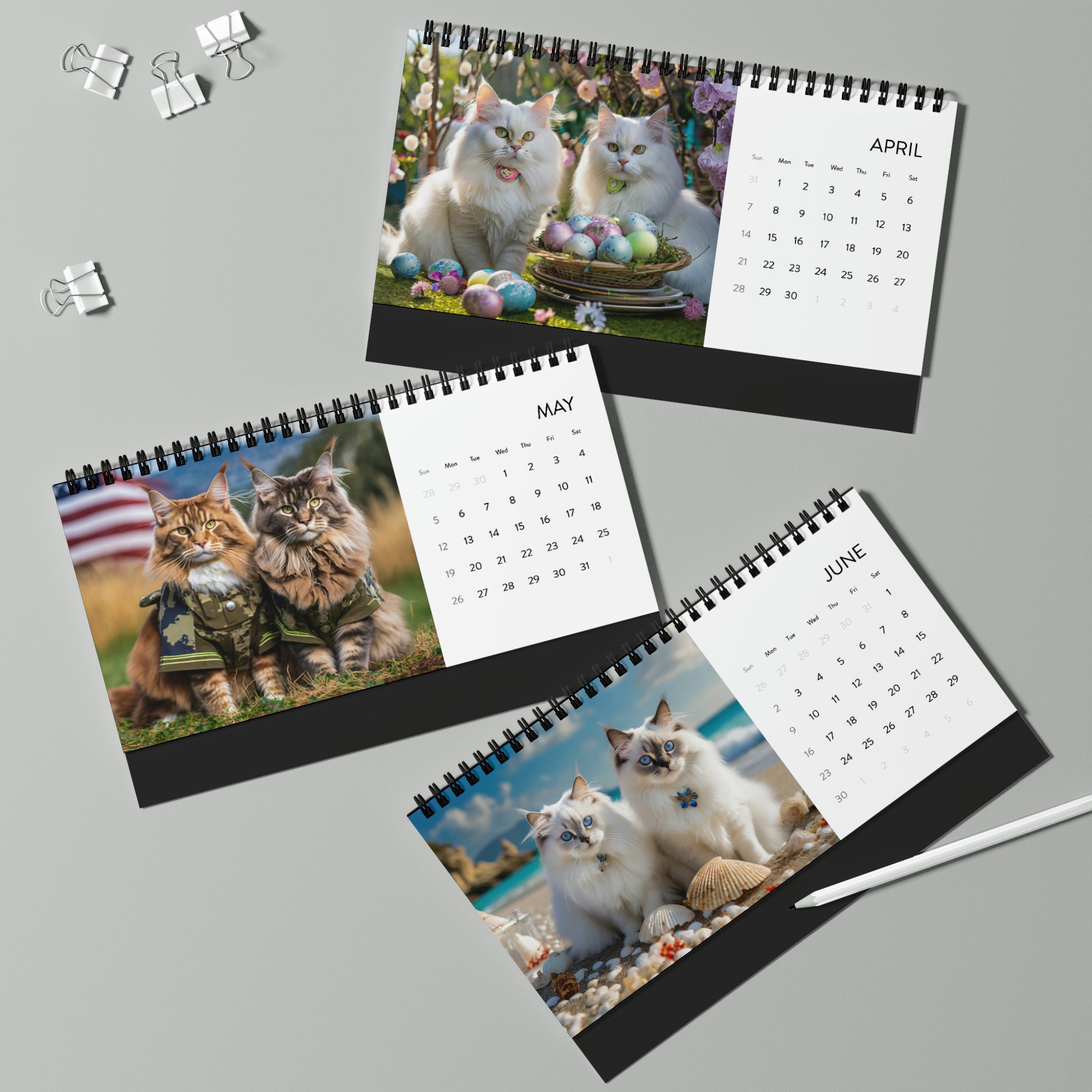 2024 Fluffy Cats Desktop Calendar, 2024 Cat Calendar, Cat Lover ...