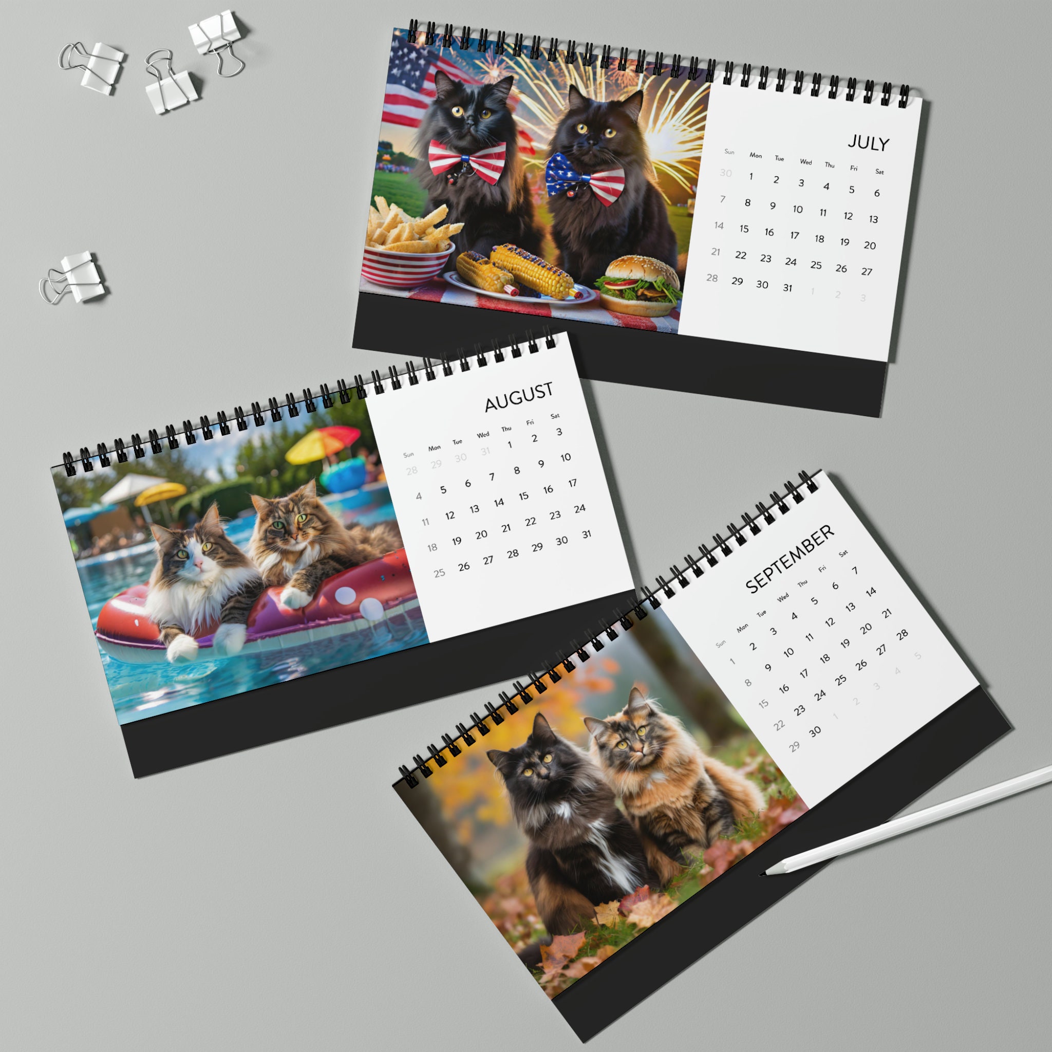 2024 Fluffy Cats Desktop Calendar, 2024 Cat Calendar, Cat Lover ...