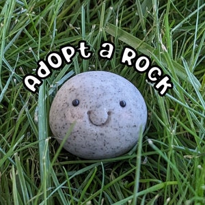 Pet Rock - Etsy
