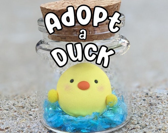 Adopt a Duck Desk Pet - Etsy