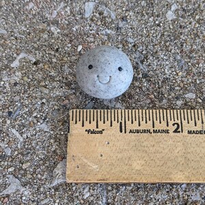Adopt a Mini Rock Desk Pet - Etsy