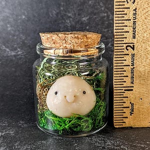 Adopt a Glitter Rock Desk Pet - Etsy