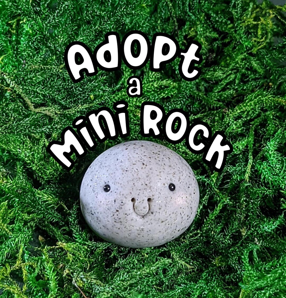 Adopt a Mini Rock Desk Pet - Etsy