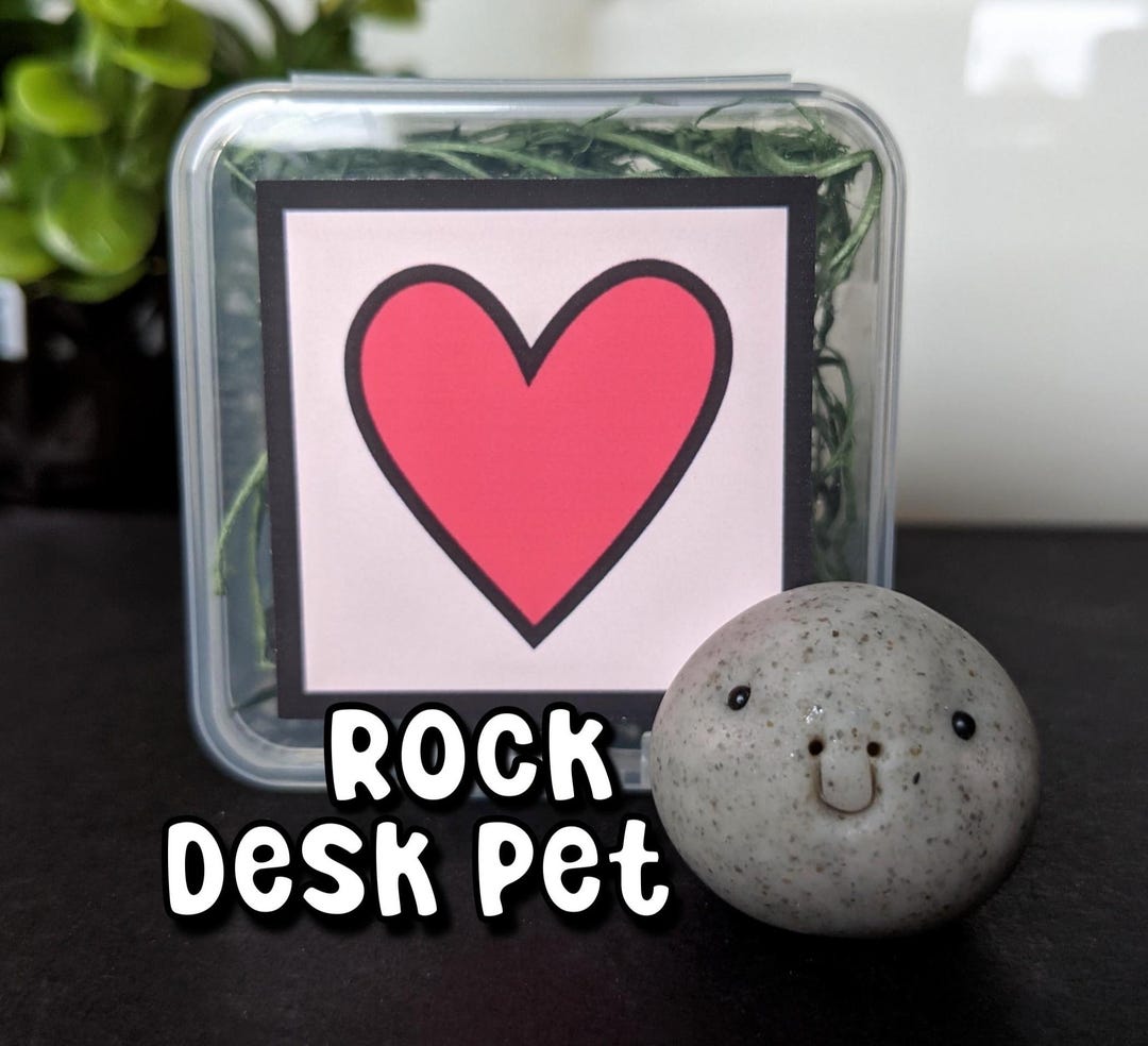 Mini Clay Rock Desk Pet: "you Rock!" Gift - Etsy