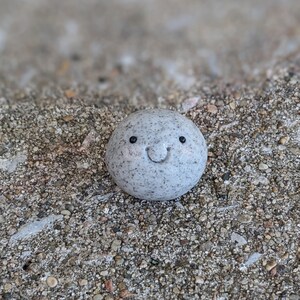 Adopt a Mini Rock Desk Pet - Etsy