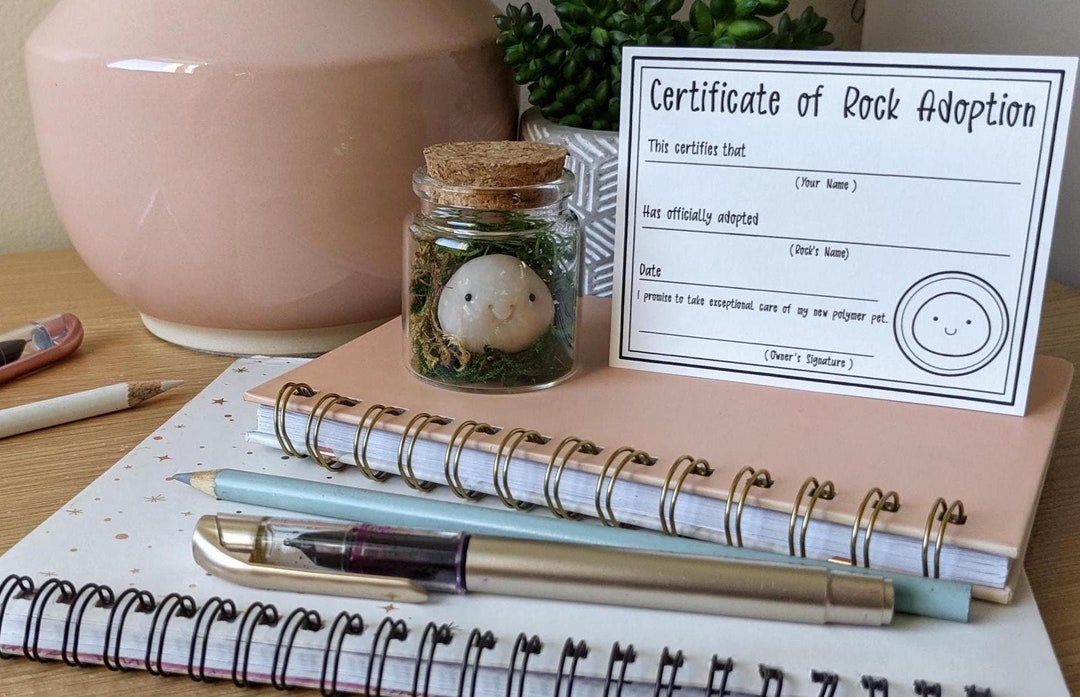 Adopt a Glitter Rock Desk Pet - Etsy