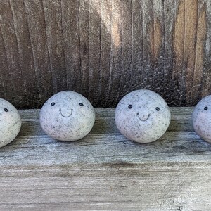 Adopt a Mini Rock Desk Pet - Etsy