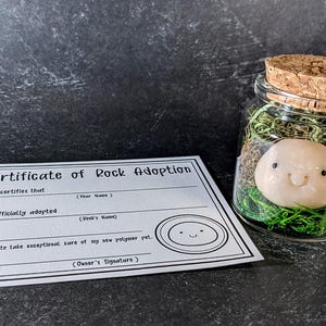 Adopt a Glitter Rock Desk Pet - Etsy