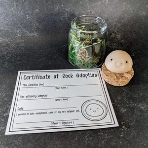 Adopt a Glitter Rock Desk Pet - Etsy