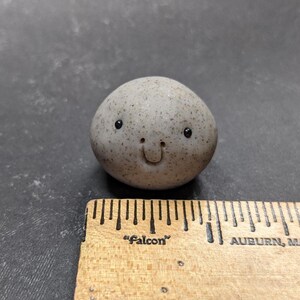 Adopt a Mini Rock Desk Pet - Etsy