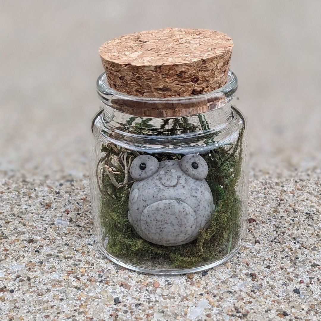 Adopt a Rock Frog Mini Rock Frog in Jar Rock Terrarium Clay - Etsy