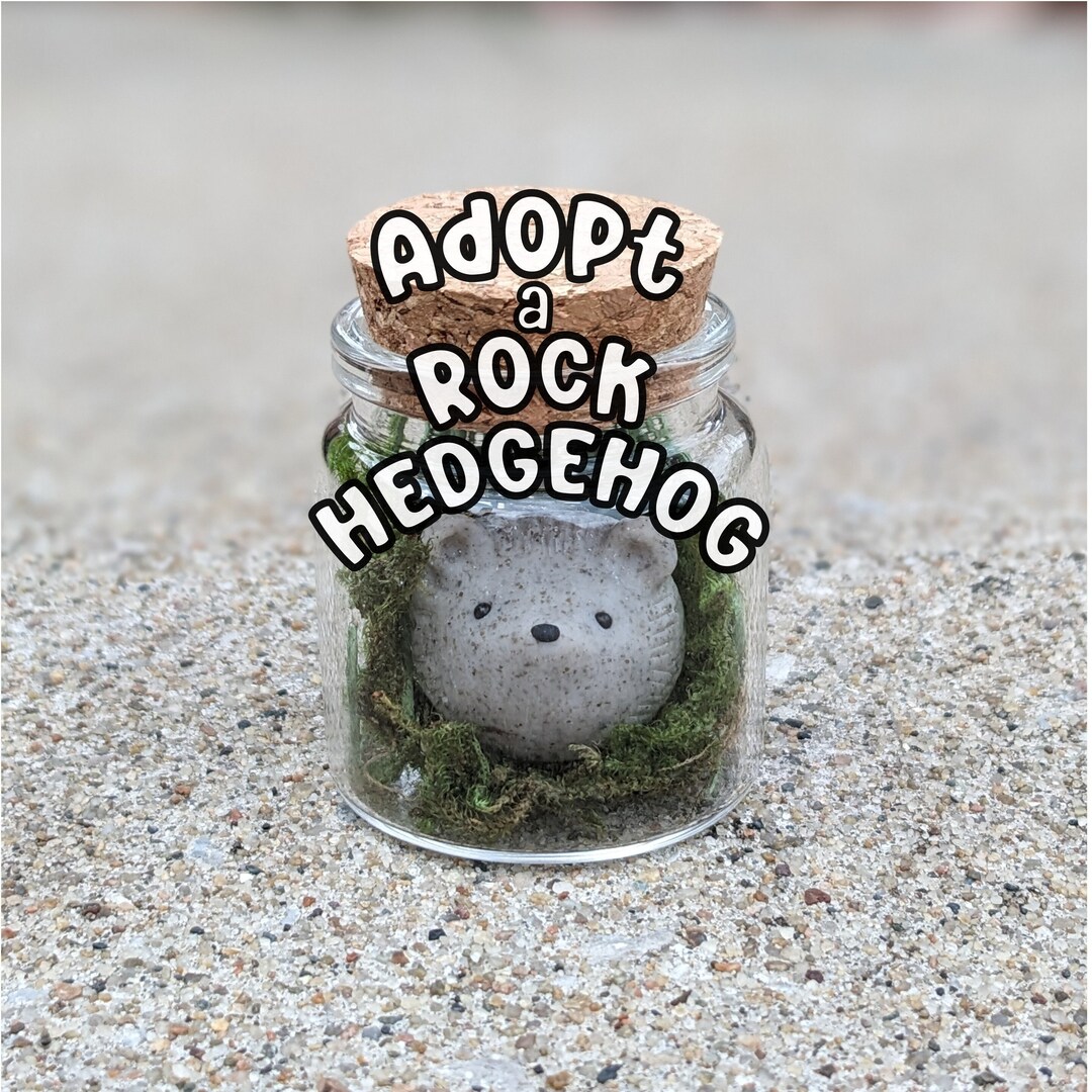 Adopt a Rock Hedgehog Desk Pet - Etsy